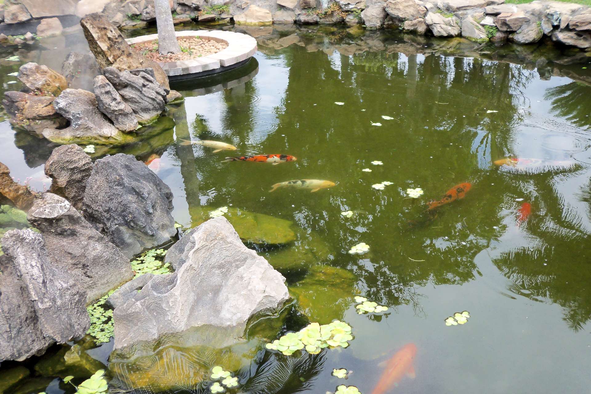 Parque Ecológico Vale Verde | Adriana Tenchini
